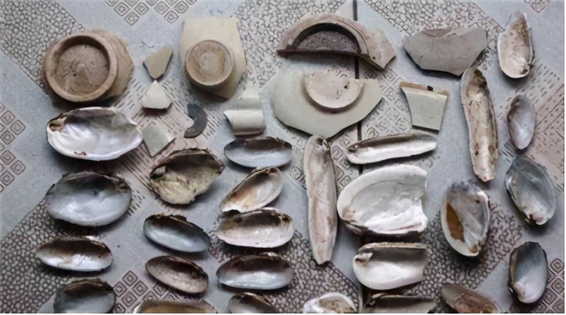 Shell currency: the earliest currency of ancient people - iNEWS