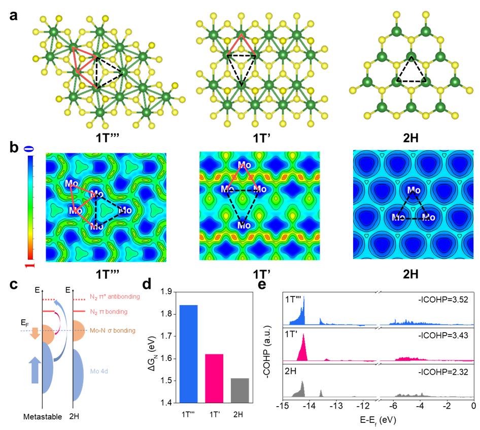 Electron localization of metastable molybdenum disulfide promotes ...