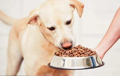 Do you want to try a dog food tester with an annual salary of 400,000 ...
