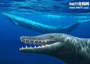 The prehistoric ocean: 3 the earliest whales in the world - iNEWS