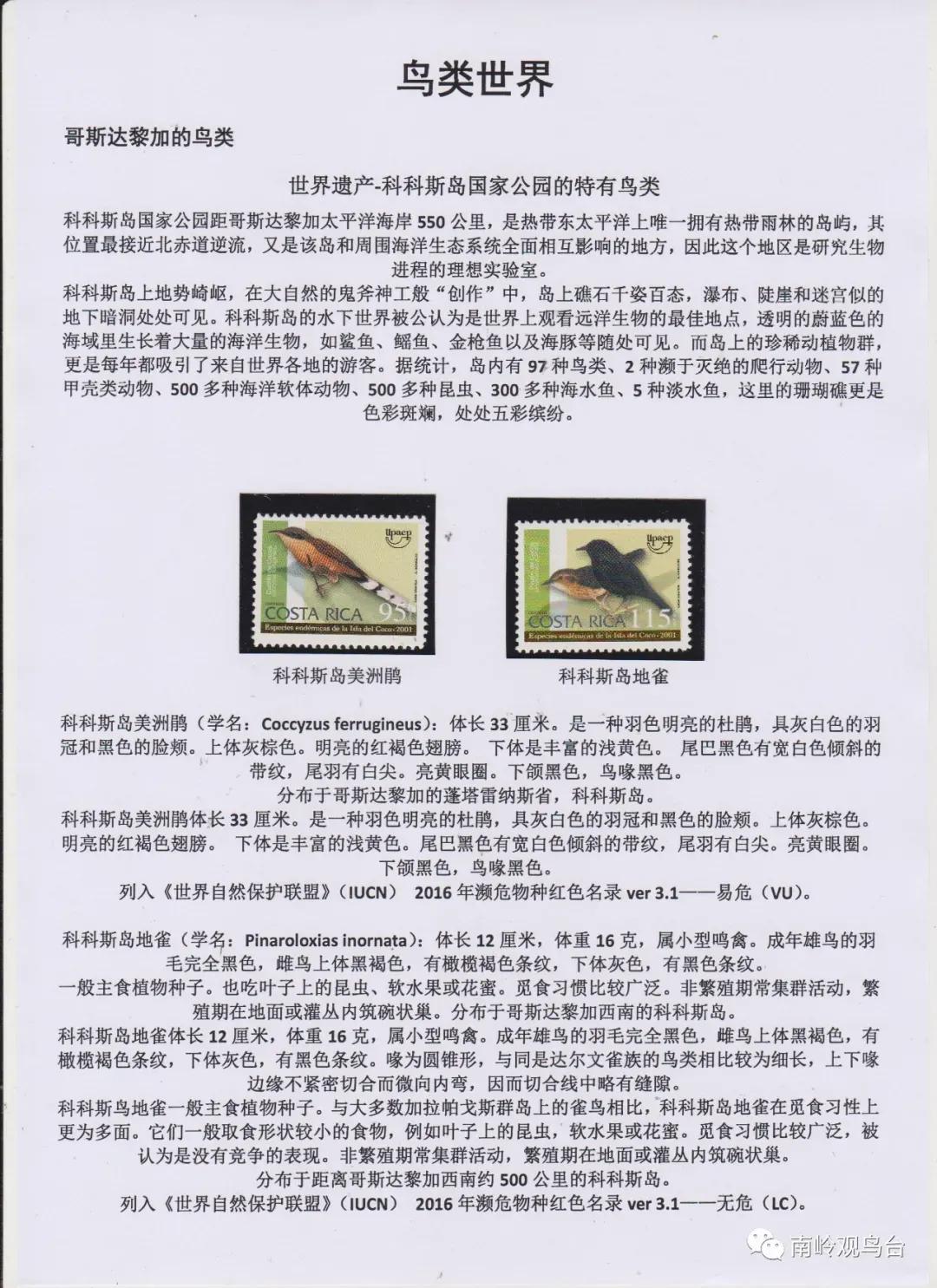 Bird World (22) - iNEWS