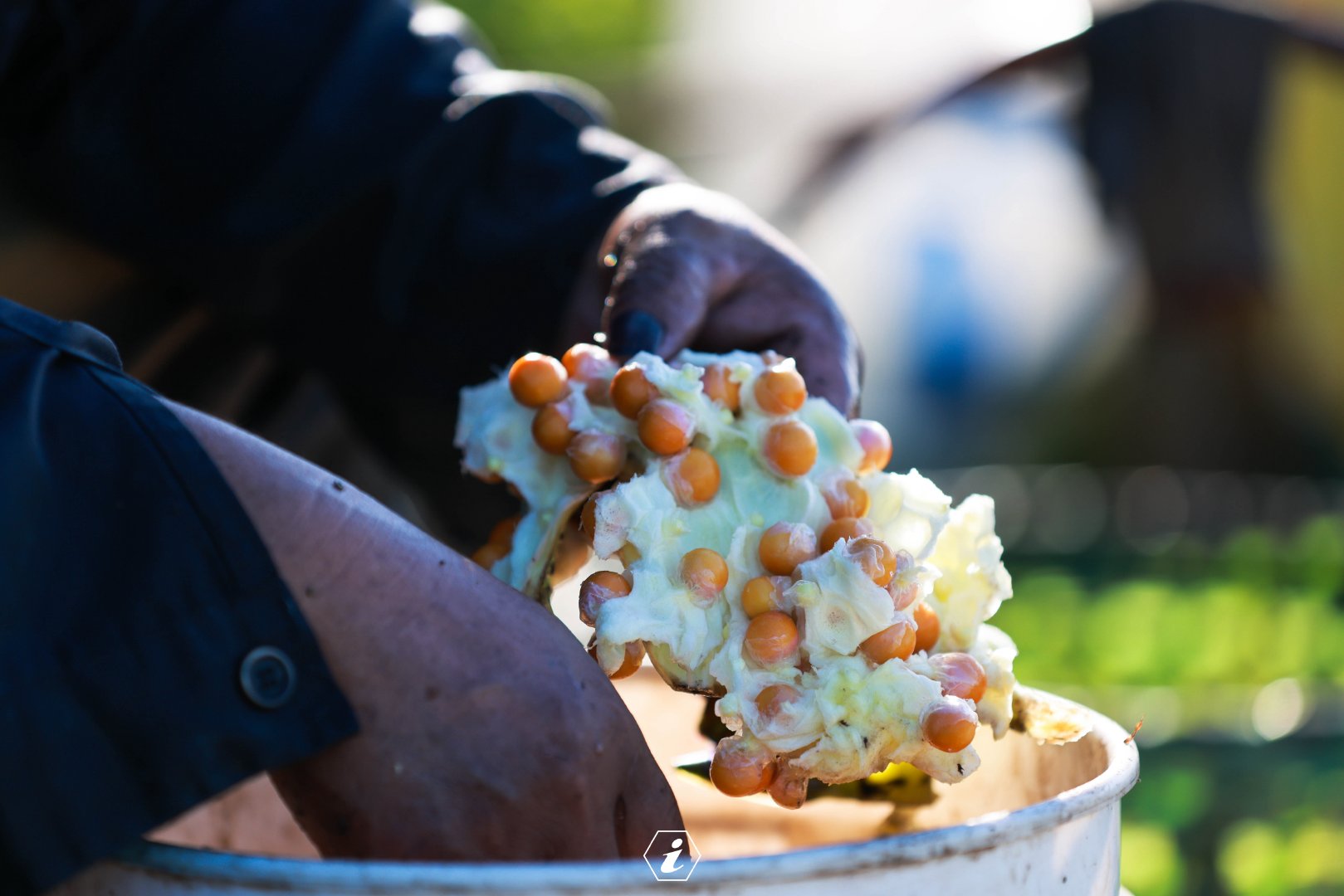 Chicken head rice is on the market - iNEWS