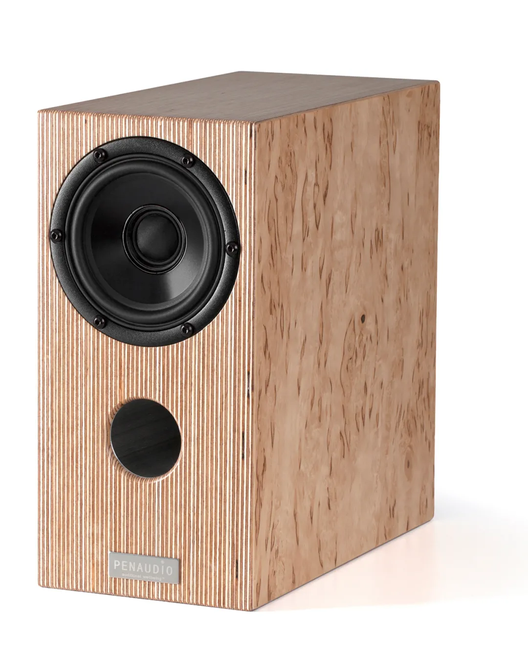 PENAUDIO 6.6 CX 20th Anniversary Edition Speaker - iMedia
