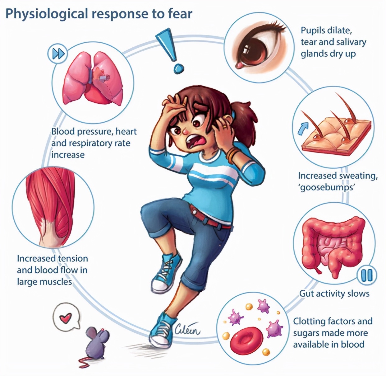 Why does your body tremble when you are afraid?Scientists: Body ...