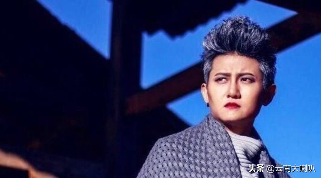 Who said that the image of a singer is not important?Duan Linxi has ...