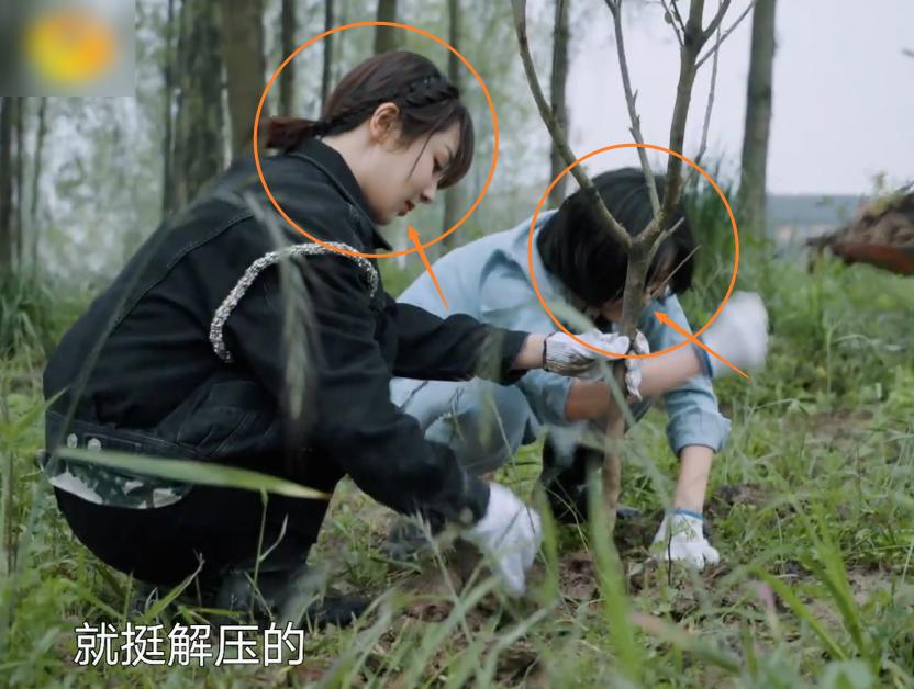 Yang Zi and Zhang Zifeng walked up in the same frame, and the camera ...