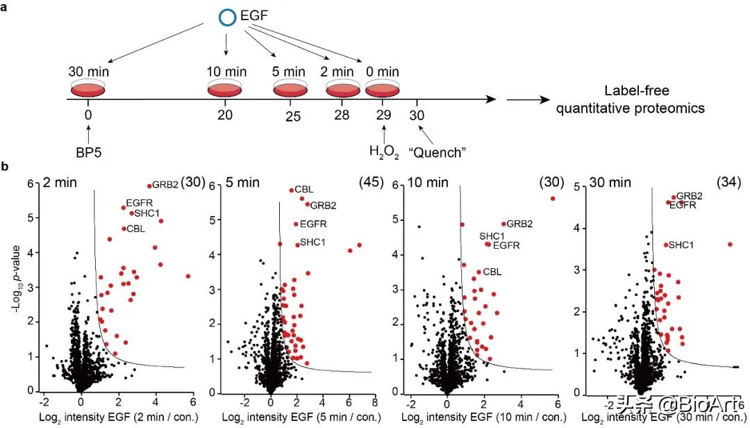 A new generation of proximity labeling proteomics technology accurately ...