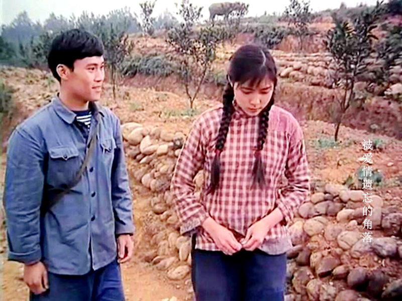 He starred in "A Corner Forgotten by Love", and partnered with Shen ...