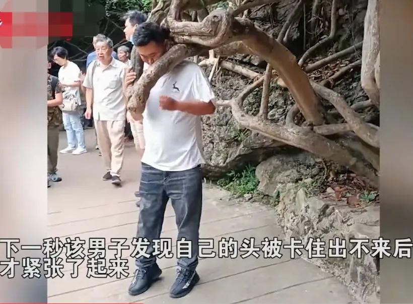 The guy drilled his head into the branch of the tree, happy Bier took ...