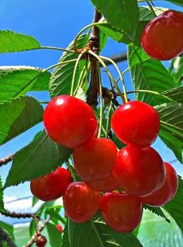 Set storm: Gu Yu - iMedia