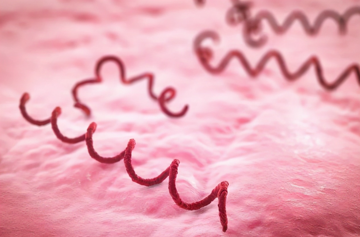 If you have meat bumps in your private parts, it must be a venereal ...