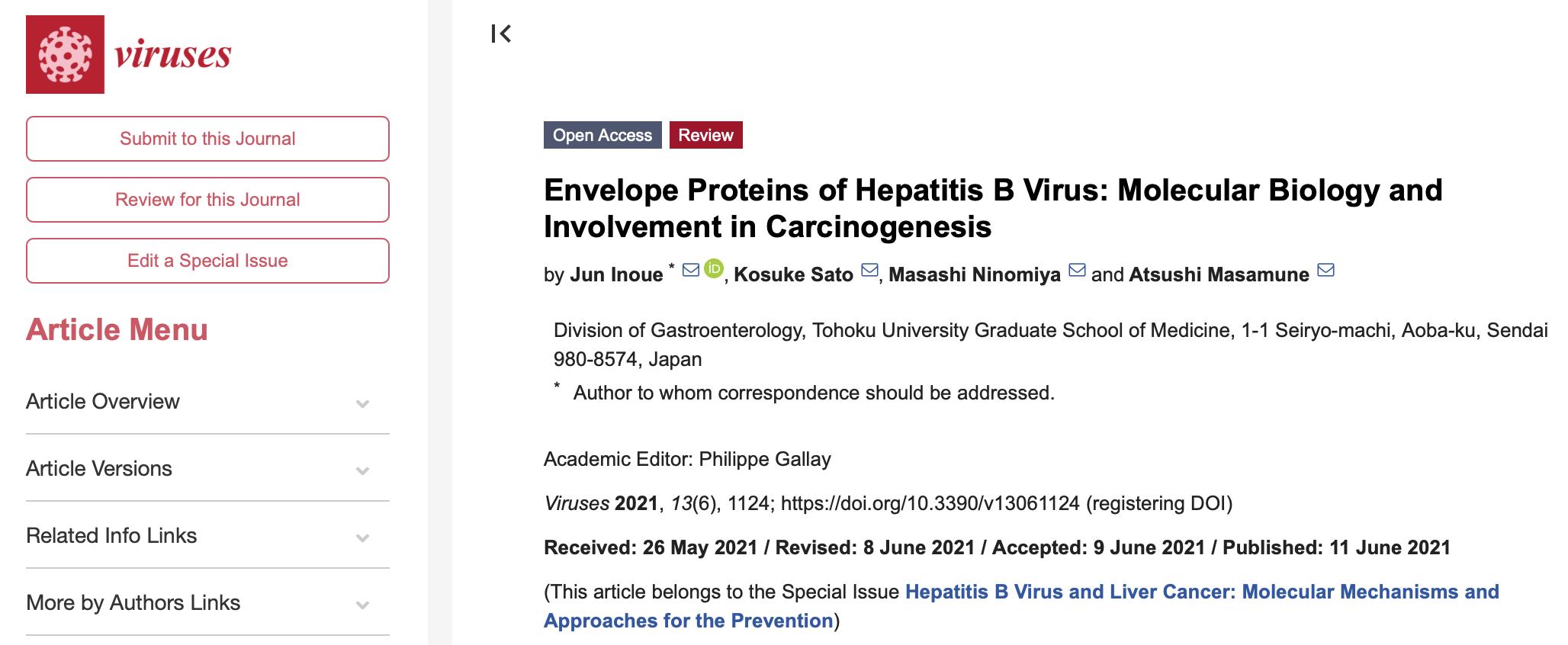 The hepatitis B envelope is necessary to enter the liver cells ...