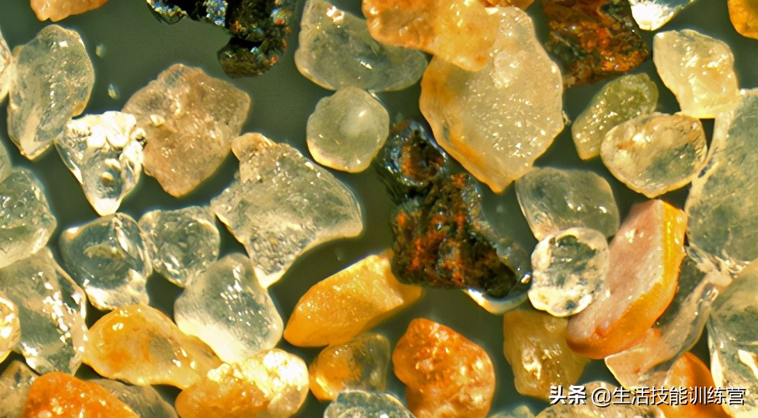 Wonderful microscopic world, 30 pictures show how everyday objects look ...