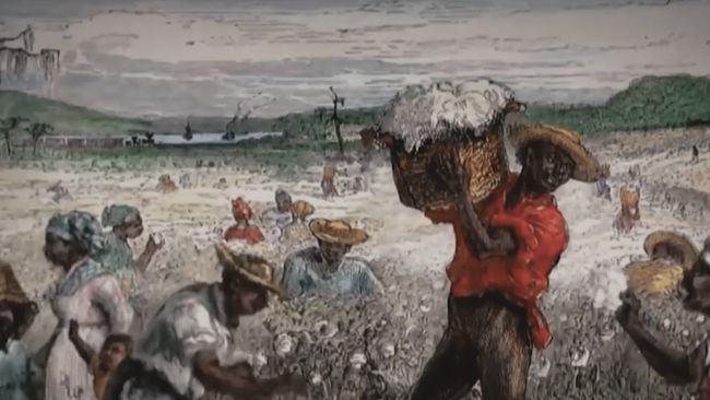 Secrets of life in the black slaves' cotton plantations: picking cotton ...
