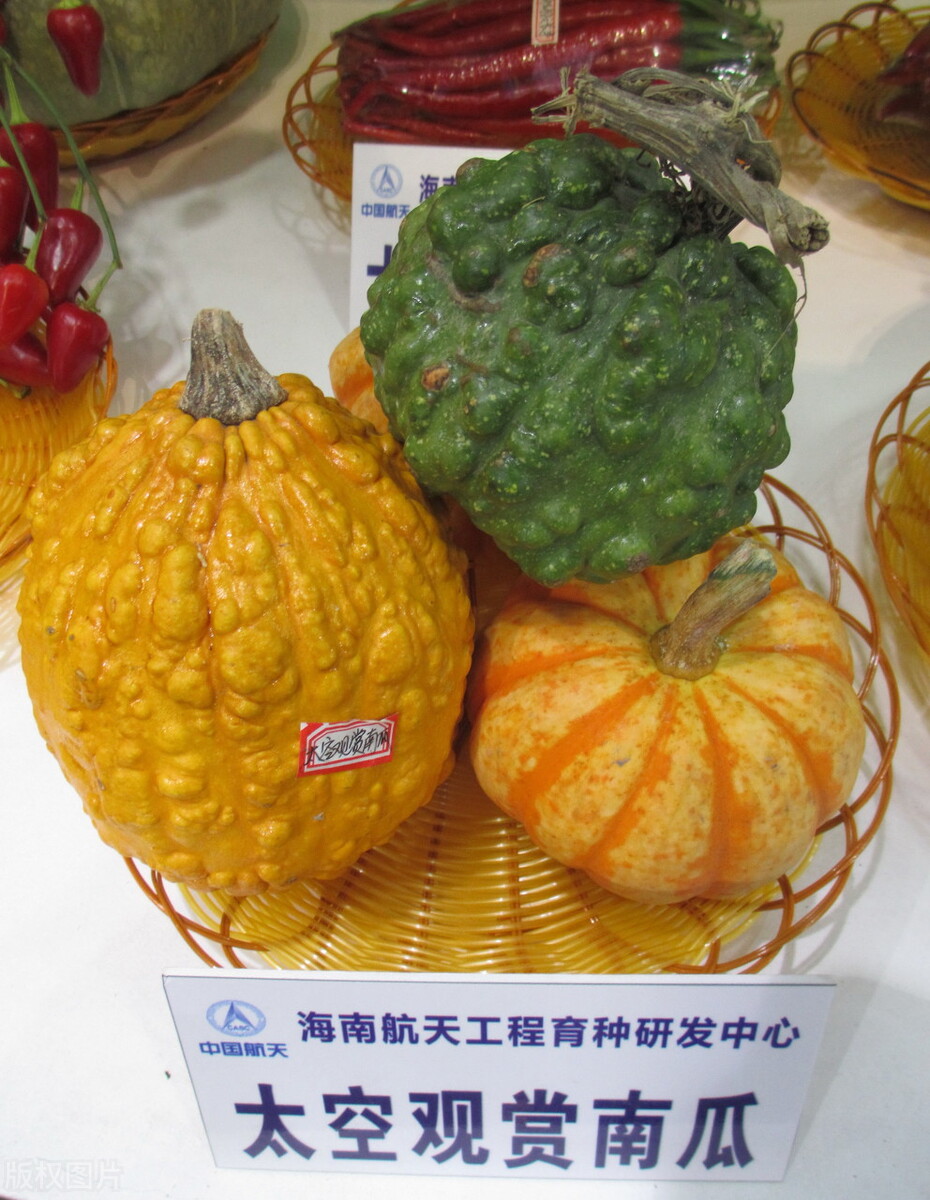 What kind of magical breeding technique is space breeding? - iNEWS