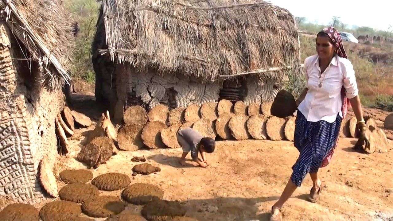 "Cow dung cake" is in short supply in India, what's the use?Can you eat ...