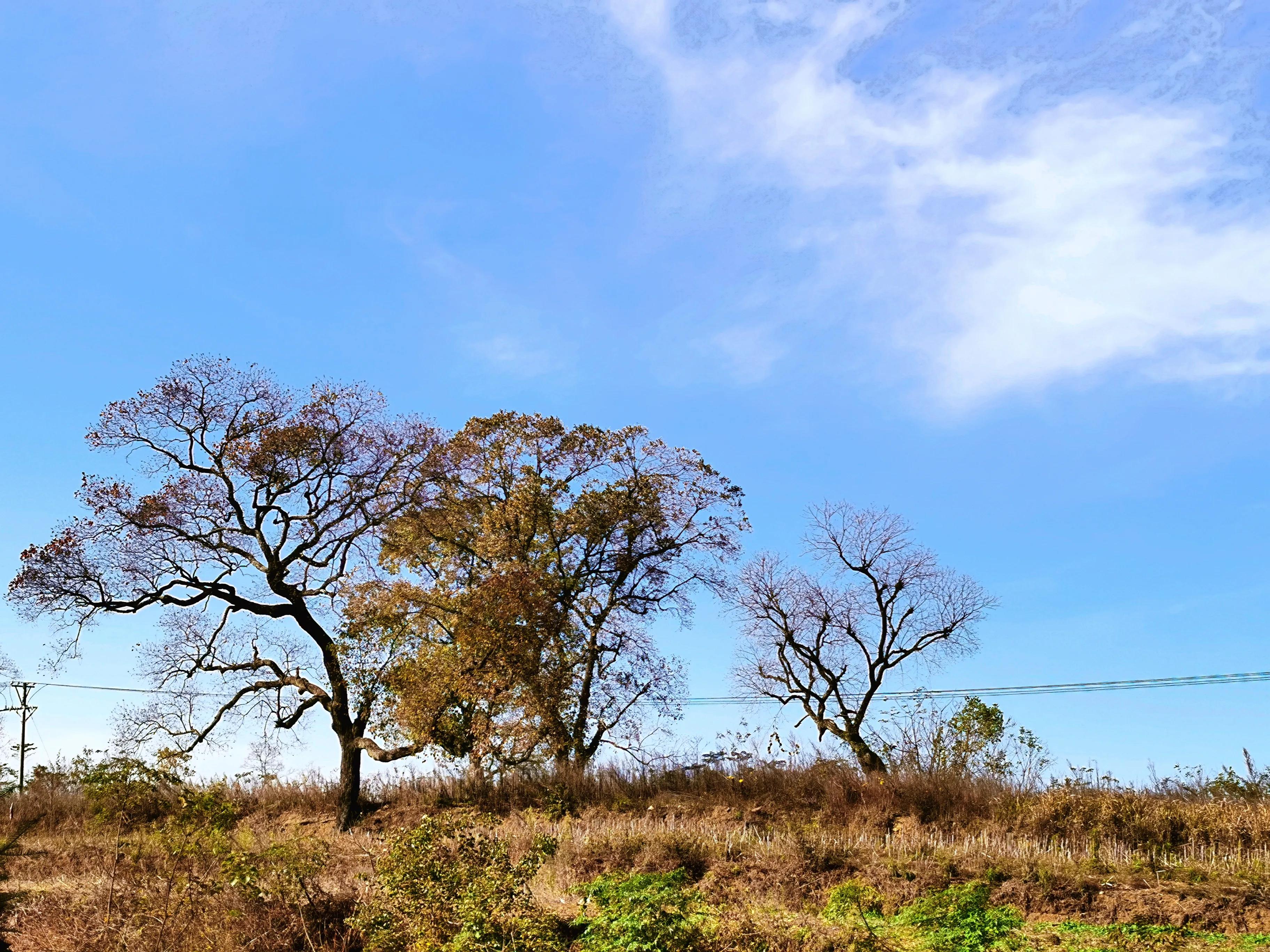 Camping at Laobi Farm in Dawu Scenic Area, Hubei - iNEWS
