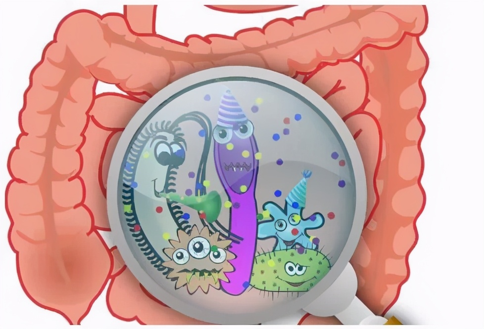 How does the intestinal flora interact with the body's brain? - iNEWS