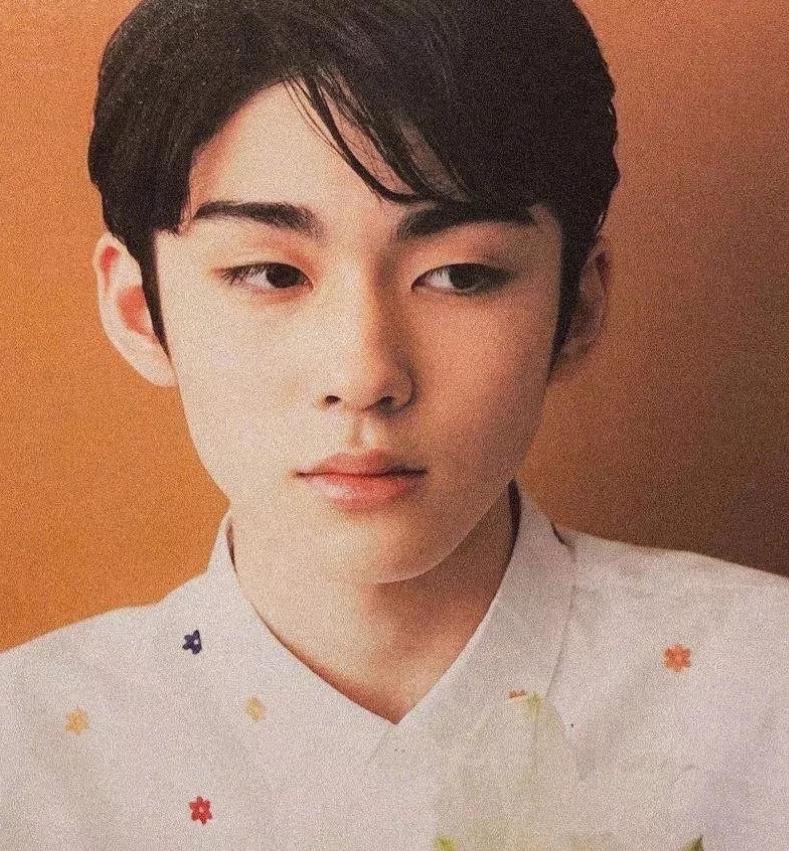 Japan's most beautiful boy Fujimasai: 15-year-old fascinated thousands ...