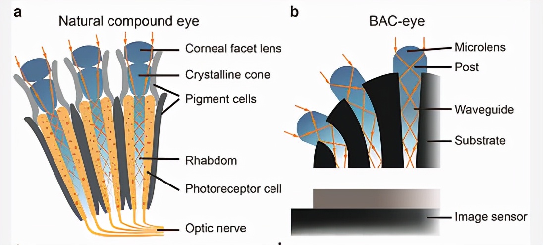 A major breakthrough in simulation, Shanghai scientists overcome ...
