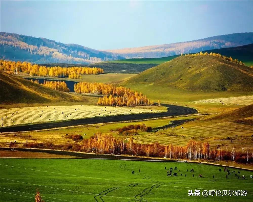 Come to Hulunbuir in September to meet a beautiful fairy tale of the ...