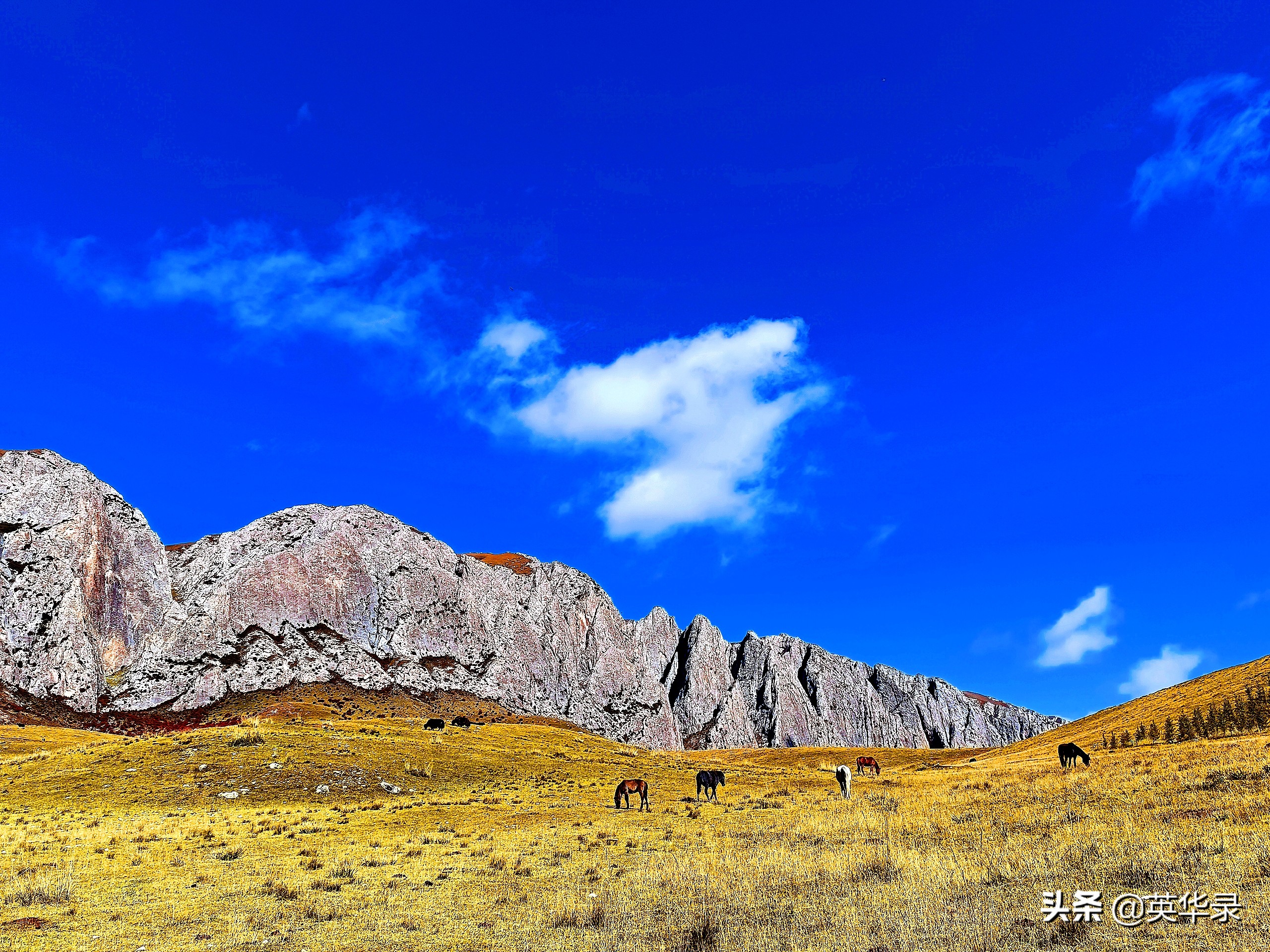 Yang Yanchao: Gannan Tour - iNEWS