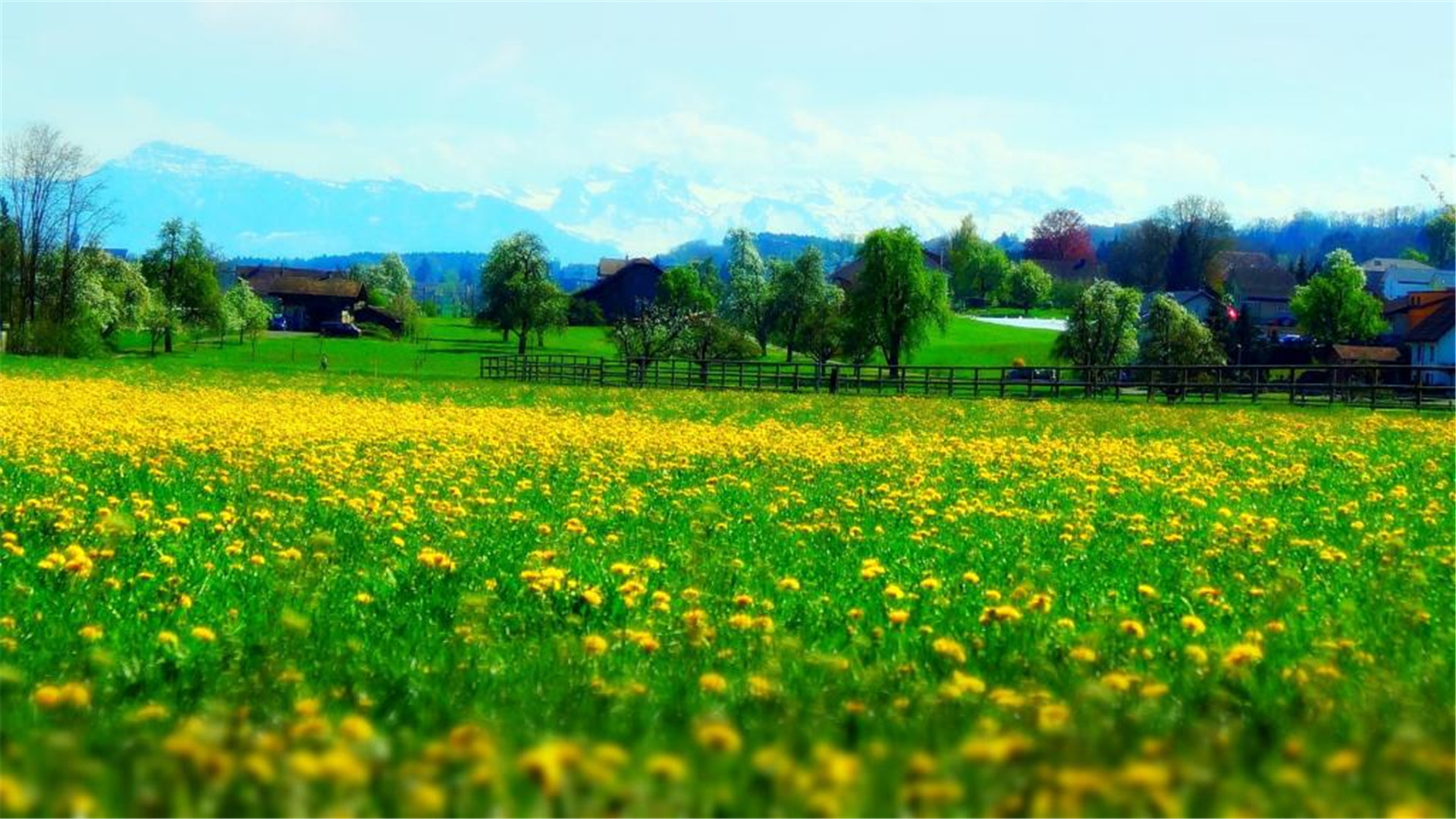 82 eye protection computer desktop wallpapers, super super complete ...