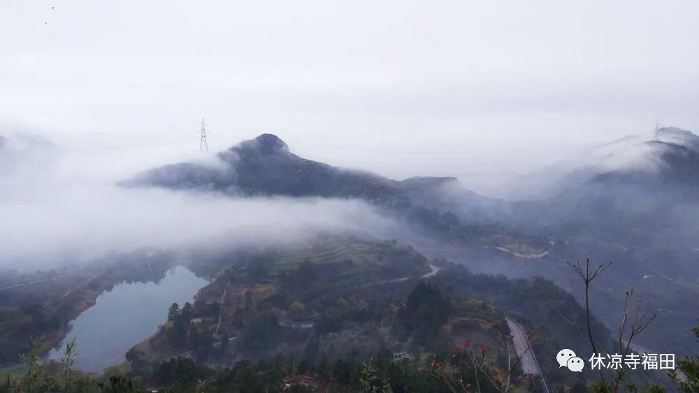 The legend of "Nine Lions and One Elephant" in Xianyan is the first ...