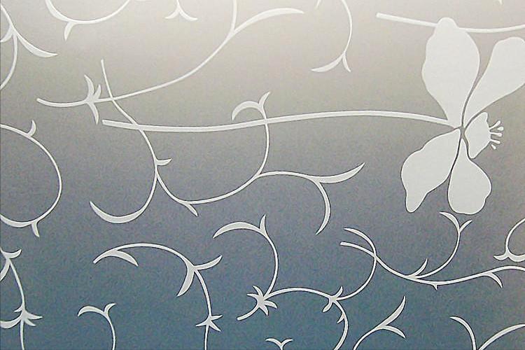 It turns out that cellophane is not only scratch-resistant, but also ...