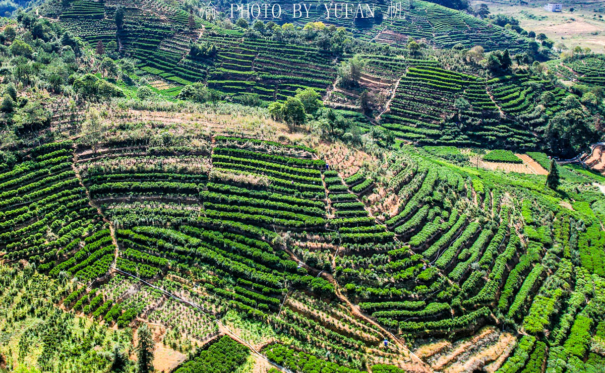 The low-key No. 1 mountain in eastern Guangdong, the mountains are full ...