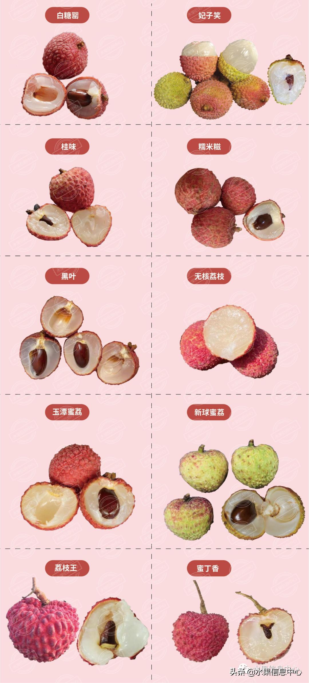 Comparison and evaluation of 10 types of lychees: Guiwei, Nuomi Cong ...