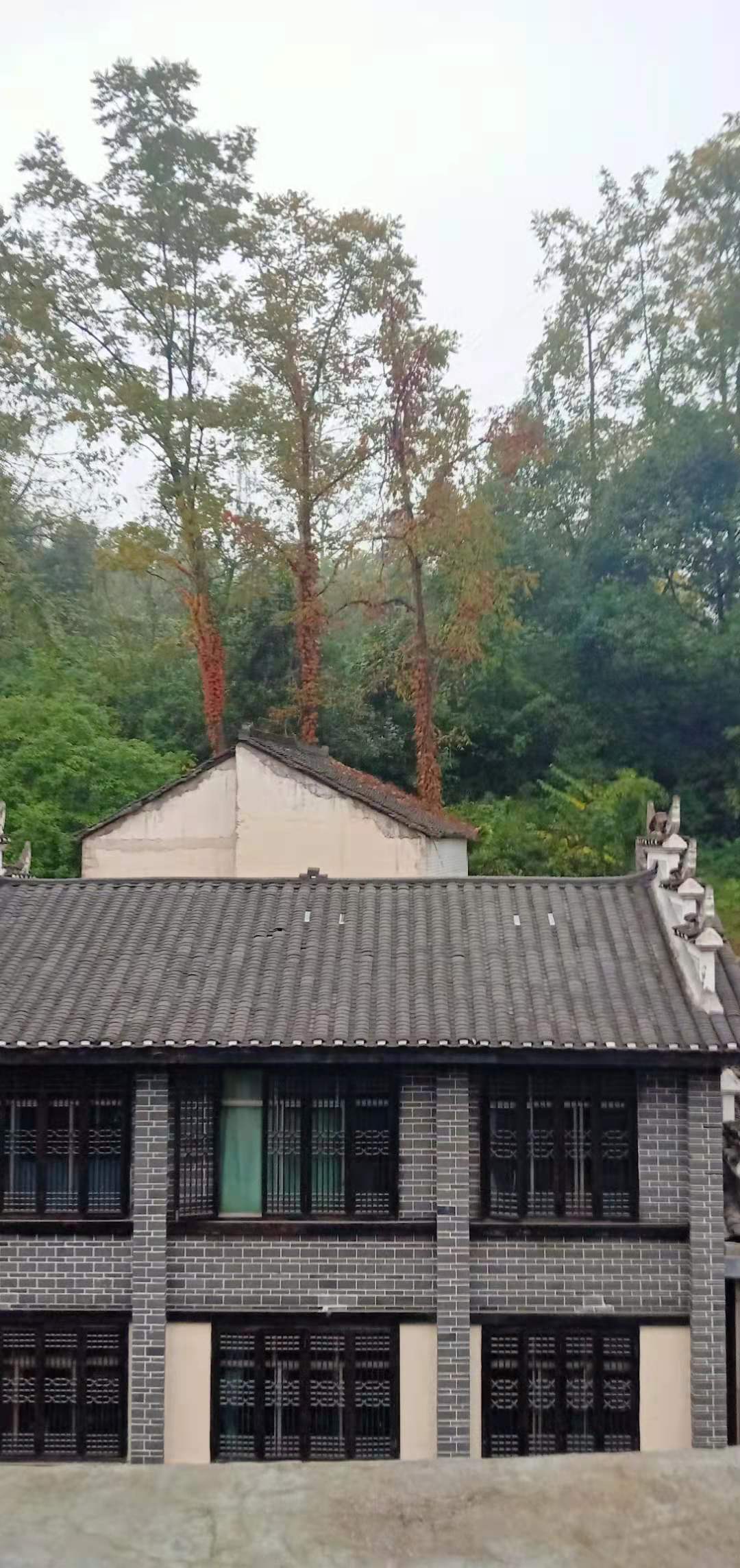 Qi Jue Yu Jing Hong Ye - iNEWS