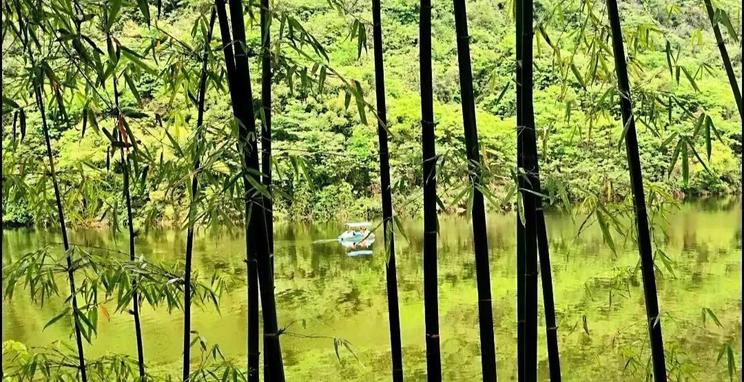 This scenic lake in Chengdu, the pristine nature has no tickets yet ...