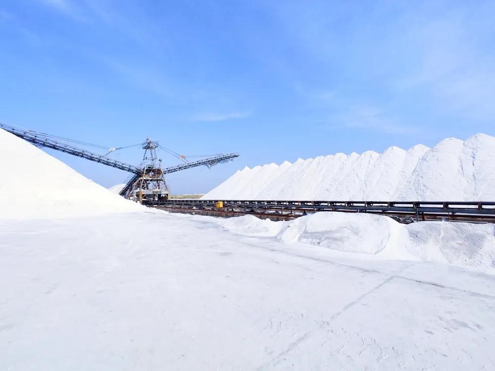 Thousand-year-old Changlu promotes "salt value" - iMedia