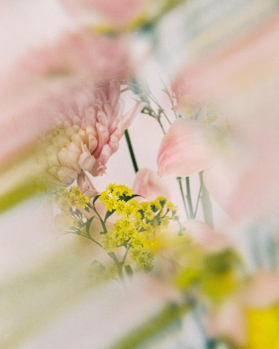 Spanish photographer Paula Codoner I Film flower photography - iNEWS