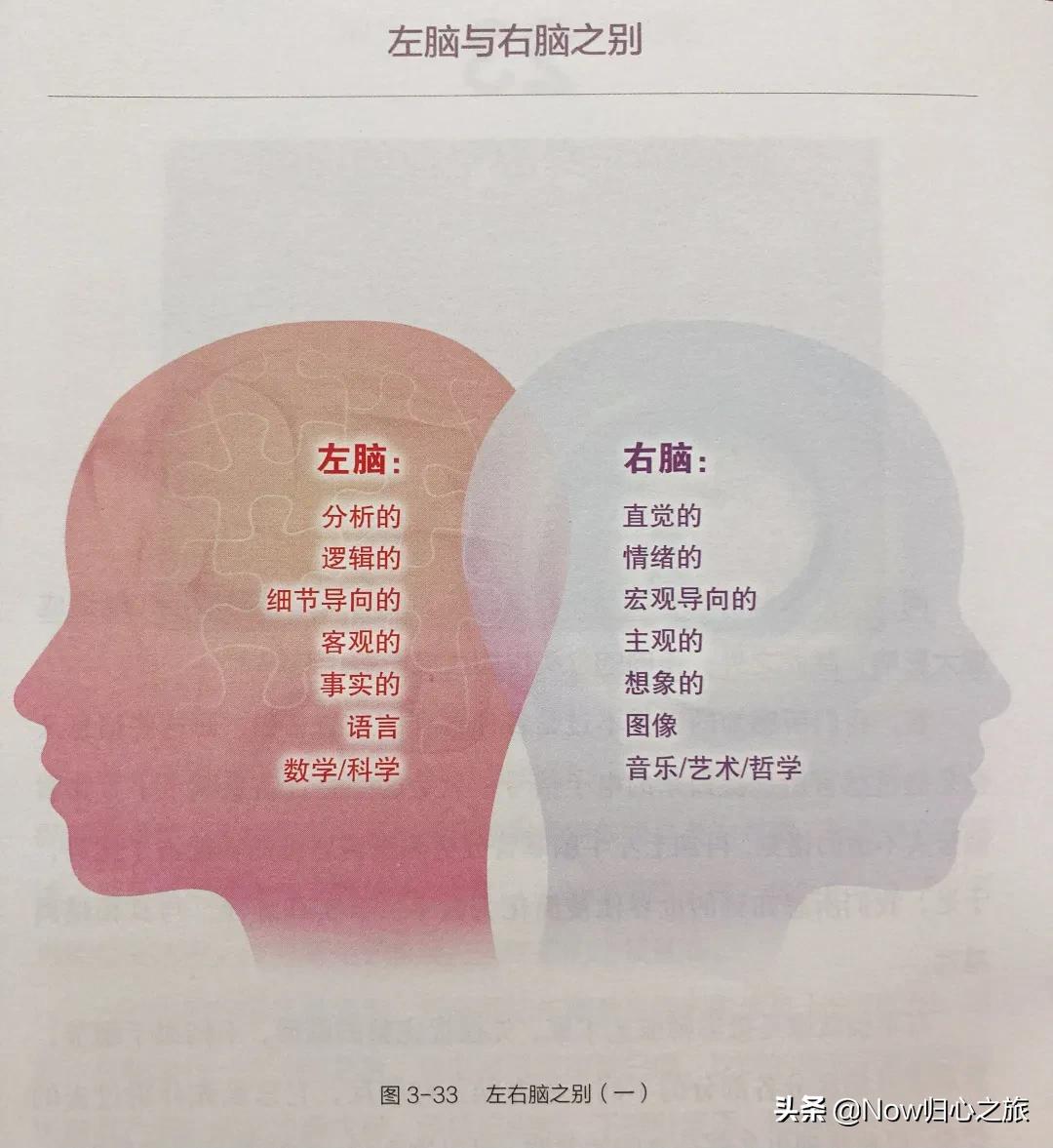 Dr. Yang Dingyi, a genius scientist: Meditation can improve children's ...