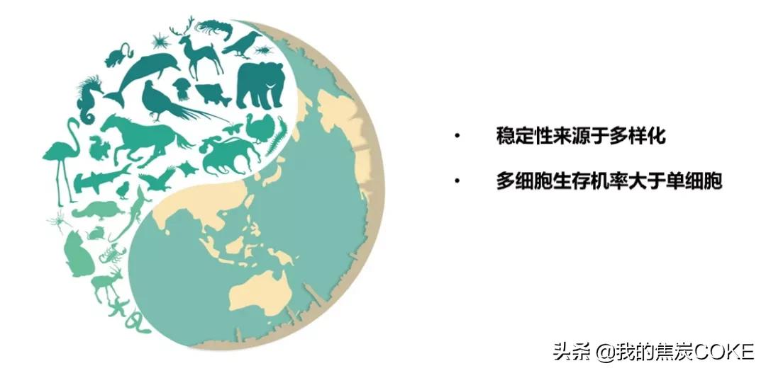 Polyester Industry Chain: PTA Price History in Fifteen Years - iNEWS
