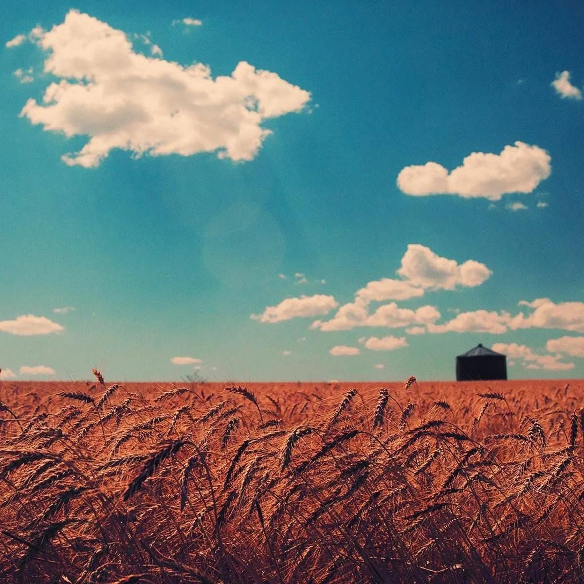 Cover up the three constellations in your heart, force a smile, eager ...