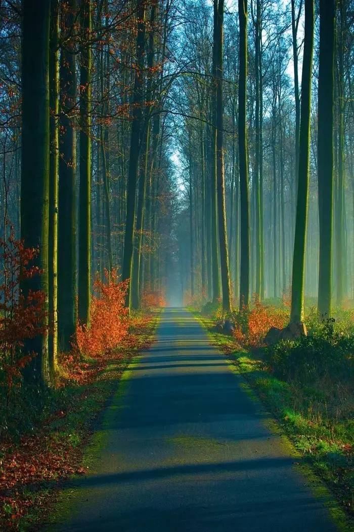 Prose: Life is like an adversity, mentality is the most important - iMedia