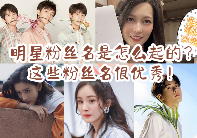 Want to know how the star's fan name comes from?Each has its meaning ...