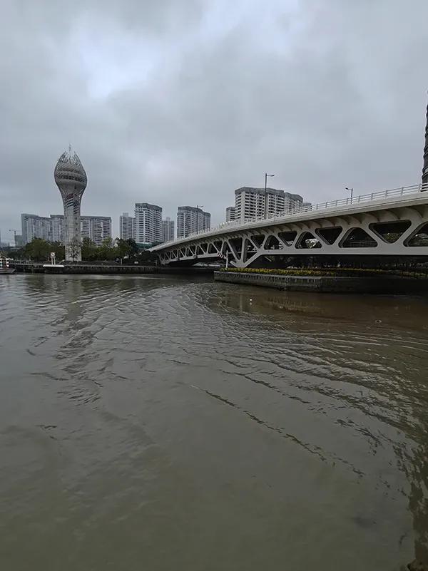 Jinmen.com Chen Yingguo: Shanghai's bridge - iNEWS