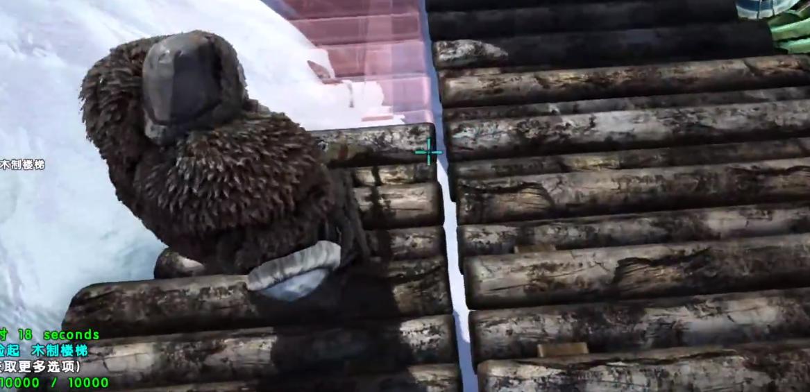 The anchor of "Ark Survival and Evolved" has created a ladder that can ...