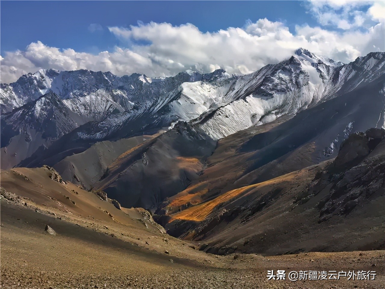 Wolf Tower C+V Line Extreme Trekking - iNEWS