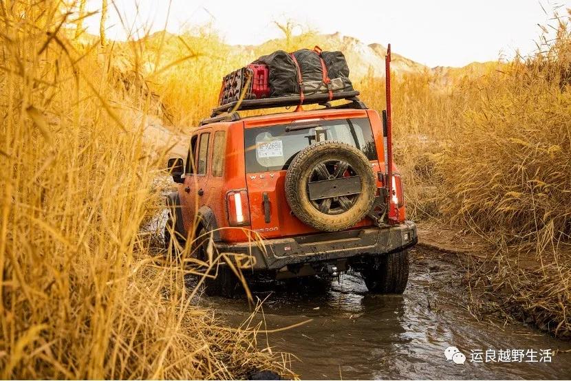 Rising star-Tank 300 modification case released - iNEWS