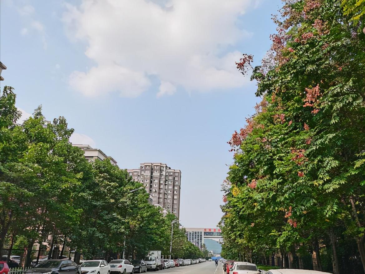 A characteristic street running through Xuhai Road, Heping Road, Xuzhou ...