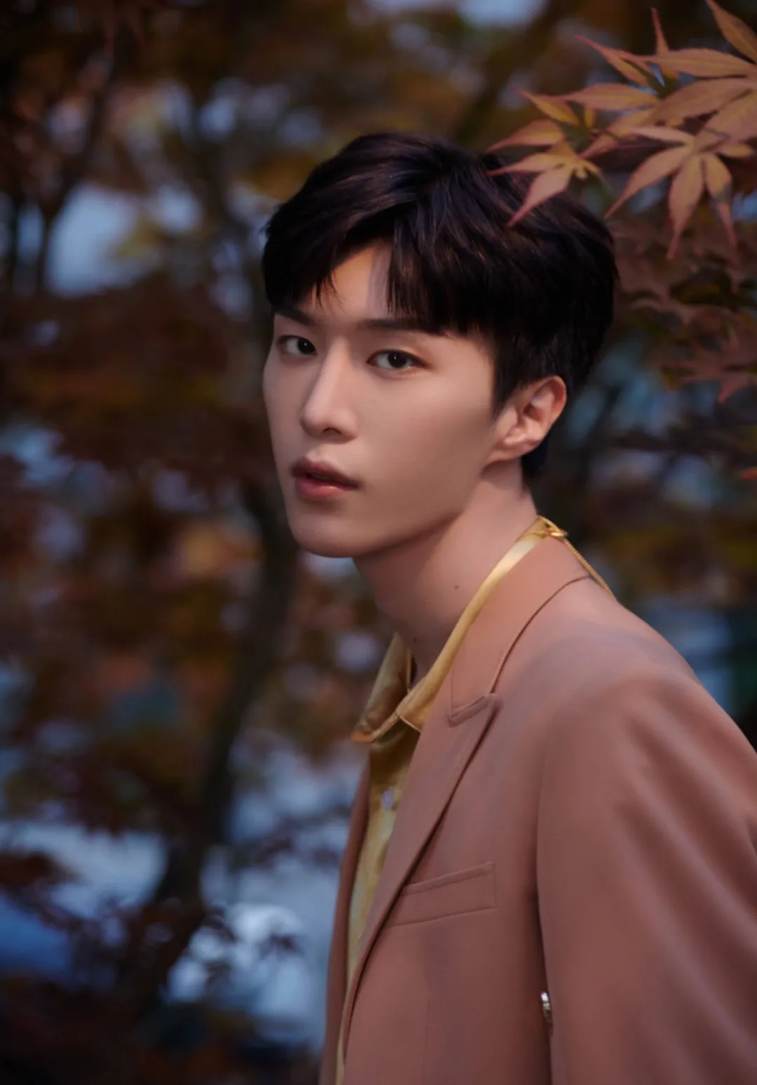 gossip: yang MI apologizes insider, F any u resources, w UL EI, lili tend, Lin Y ichen - iNEWS