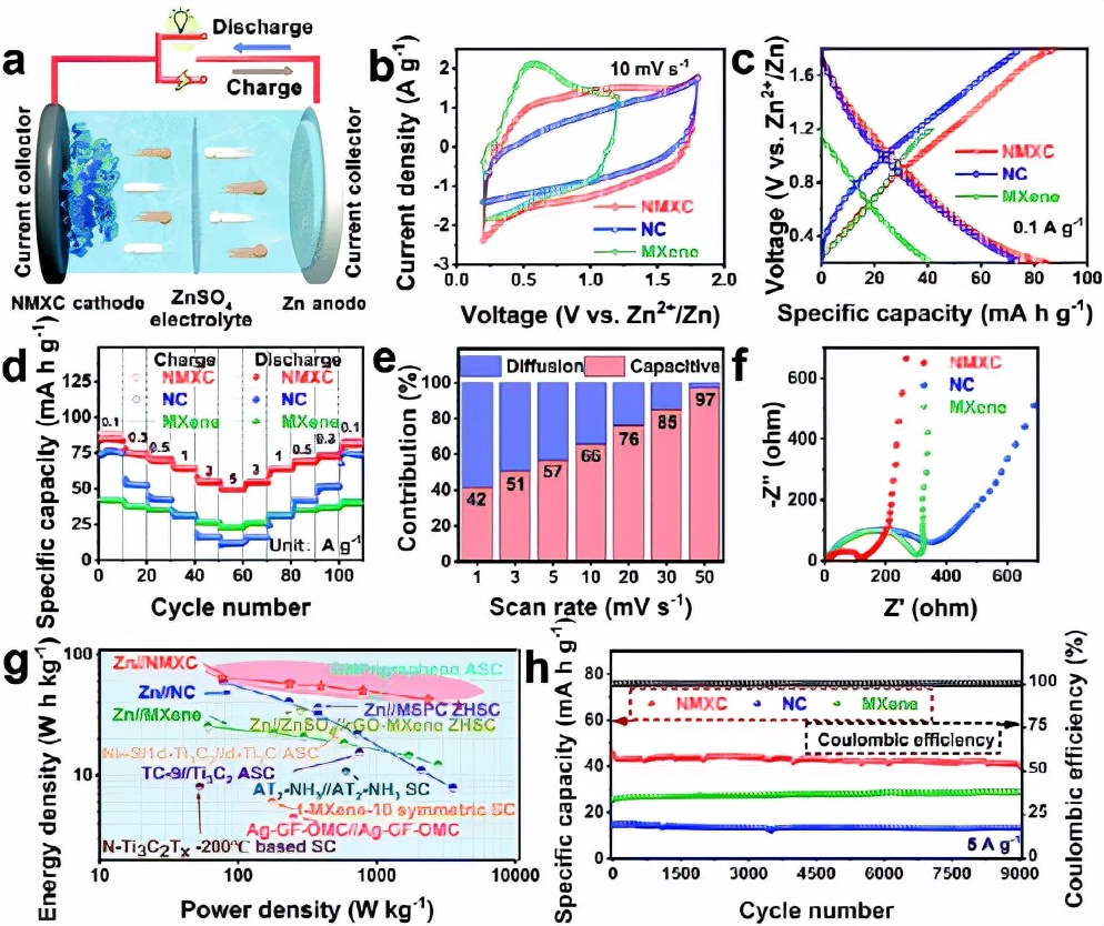 Sulfated polysaccharide enhanced hydrogels for MXene-based zinc ion ...