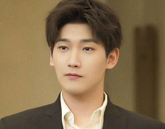 Of the seven dramas starring Bai Lu, five were popular and two were ...