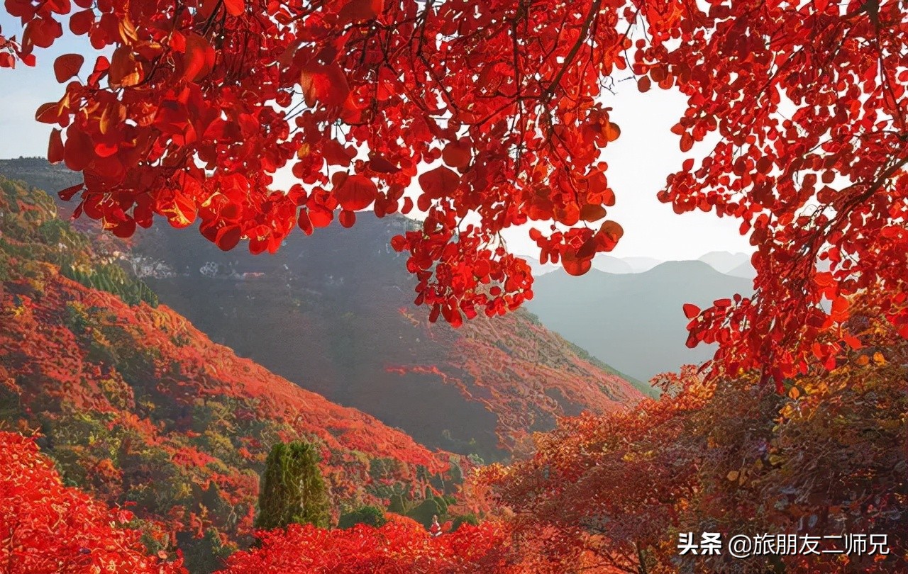 Departing from Guangzhou-1 day tour from Fossil Gate National Forest ...