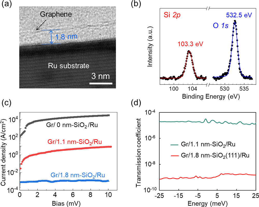 Successfully realized high-quality large-area epitaxial graphene and ...